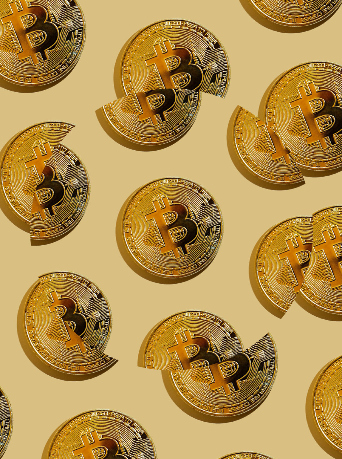 Concentric - The Activist Venture Fund. United by Difference.